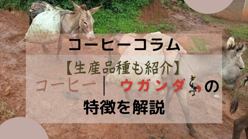 【何が違う】認証系コーヒーを解説 | CoffeeSwamp